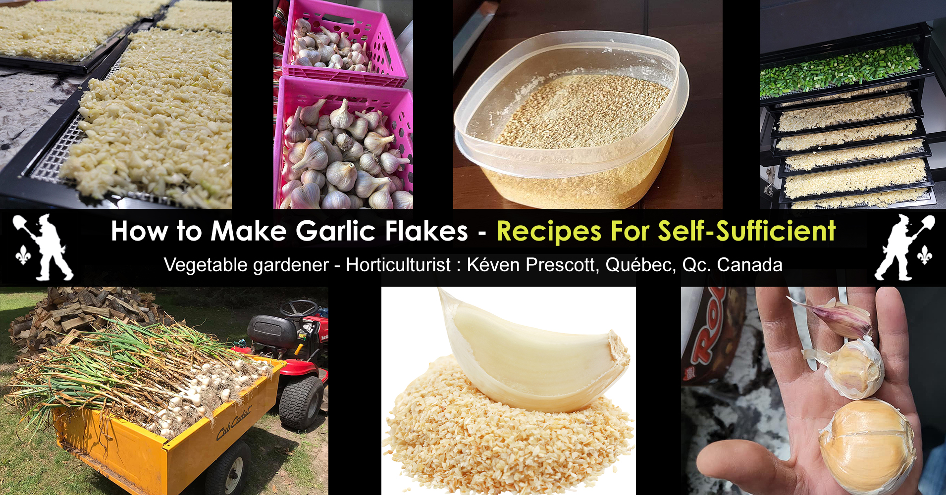 How to Make Garlic Flakes - Recipes for Self-Sufficient