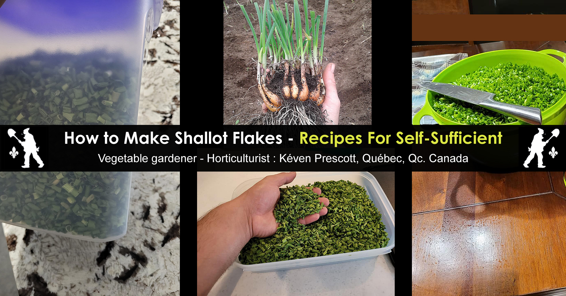 How to Make Shallot Flakes - Recipes for Self-Sufficient